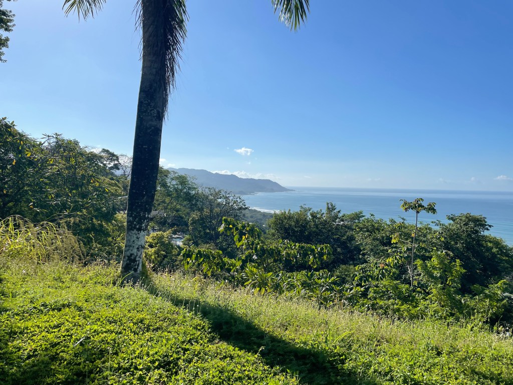 Step-by-Step Guide: Understand The Construction Permit Process in Costa ...